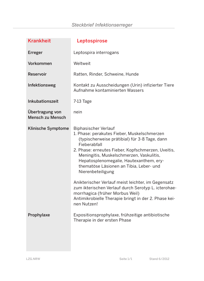 Krankheit Leptospirose Steckbrief Infektionserreger