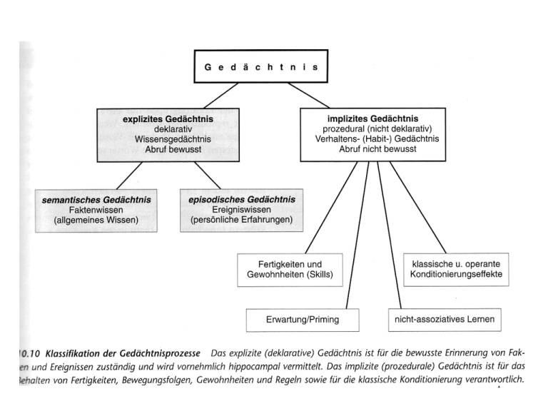Langzeitgedächtnis Systeme